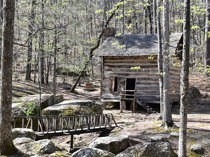 This rustic log cabin isn't just Instagram-worthy &ndash; it's a time machine to when "streaming" meant something entirely different.