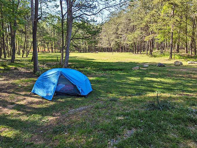 Camping nirvana: where your "room" has a million-star ceiling and the wake-up call comes from actual birds instead of your smartphone.