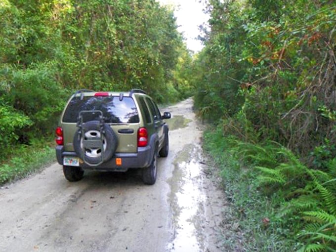 An SUV navigates the narrow gravel path where puddles reflect the sky&mdash;proof that the best Florida adventures sometimes require a bit of mud.