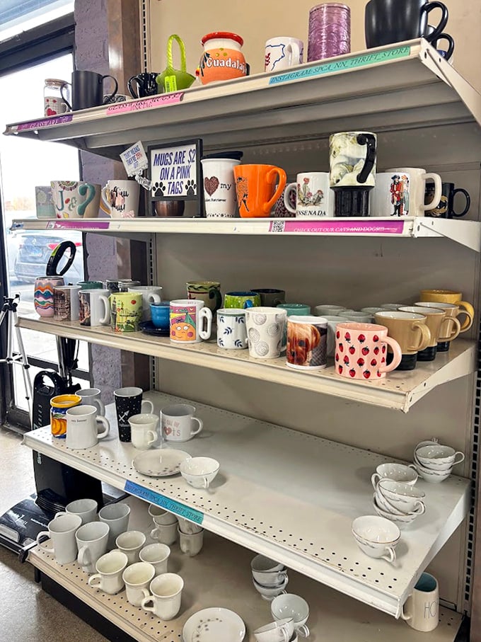 A ceramic menagerie of mugs tells a hundred stories &ndash; each one previously sipped from during someone else's morning routine.