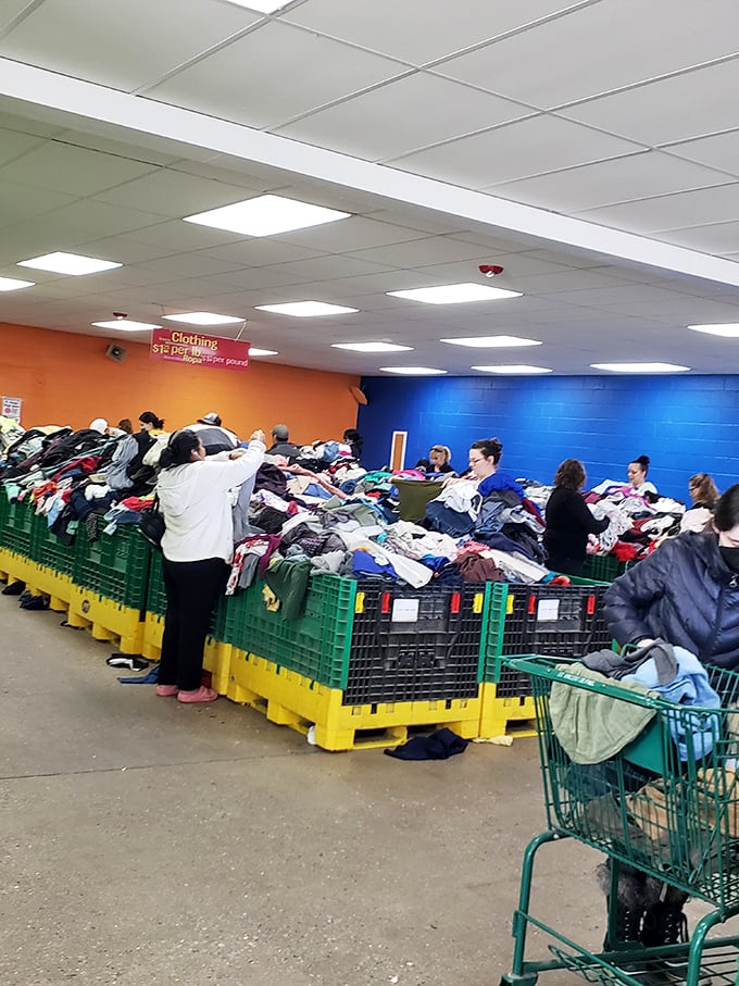 Clothing mountain ranges where fashionistas and budget-conscious parents alike pan for gold. That vintage band tee is hiding somewhere in there!