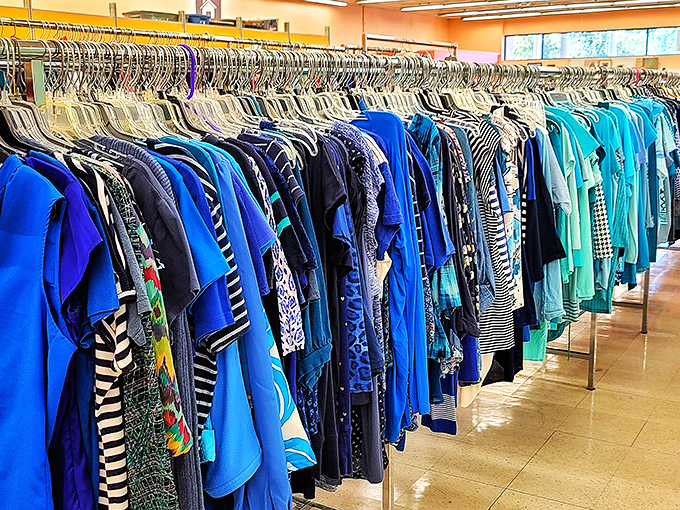 The color-coordinated clothing section puts some boutiques to shame. Blue hues dominate this rack like a carefully curated museum of fashion democratized.