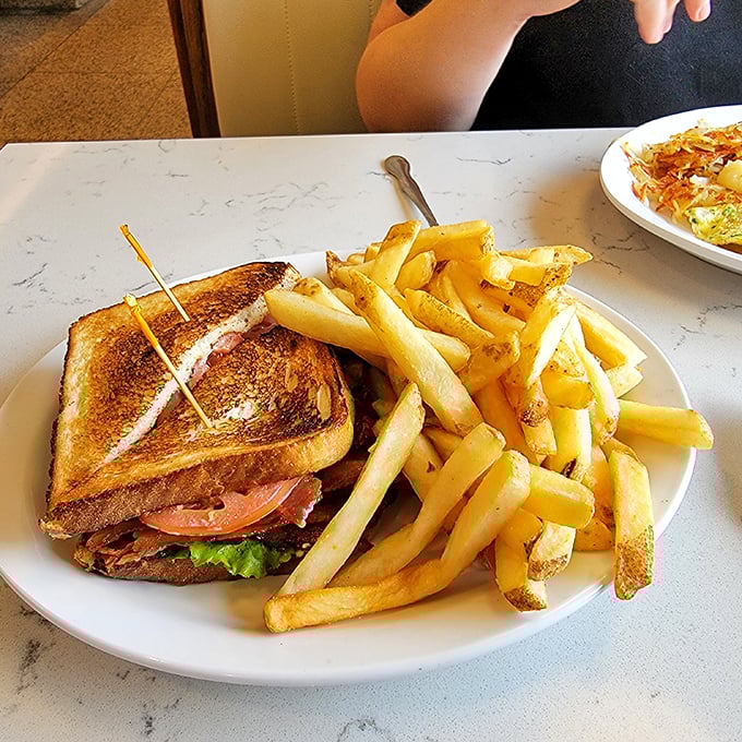 This isn't just a sandwich&mdash;it's architecture. Golden-toasted bread supporting the perfect ratio of fillings, with fries that demand equal attention.