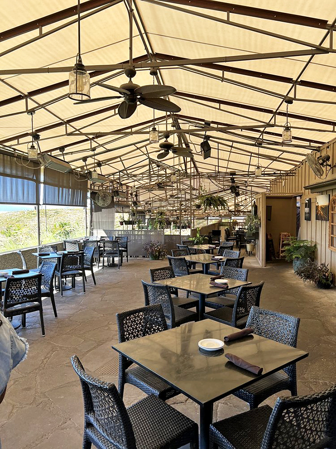 Dappled sunlight filters through the covered patio, creating the perfect microclimate for afternoon sipping and soul-restoring conversations.