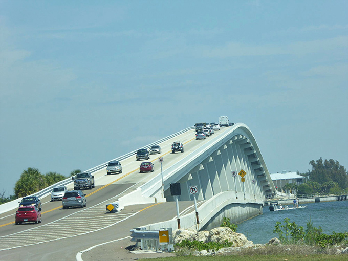 The graceful arch of the Sanibel bridge rises like a whale's back from the water, its elegant curve a testament to engineering that complements rather than conquers nature.