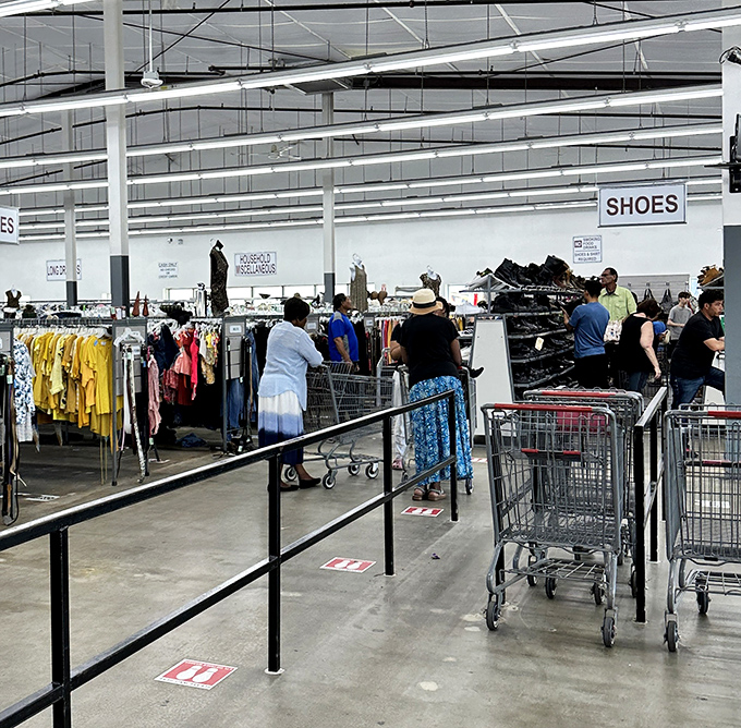 Treasure hunters navigate the aisles with purpose. The shopping cart cavalry arrives daily, each with a different quest but the same thrifty mission.