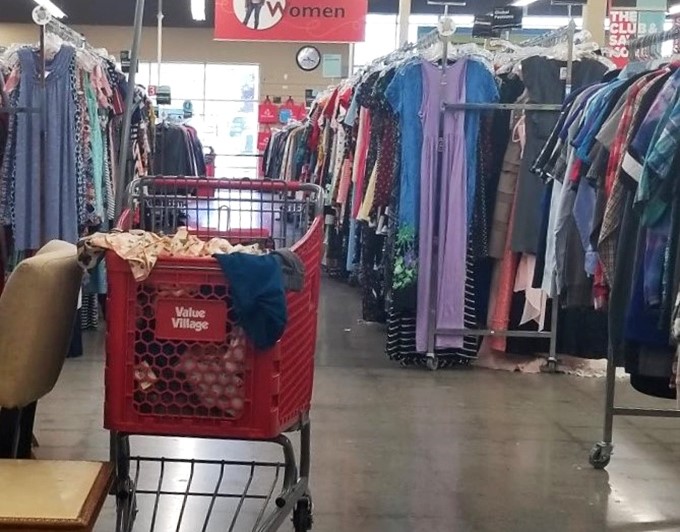 The red shopping cart: your trusty vessel through seas of secondhand possibilities and the occasional impulse purchase you'll absolutely justify later.