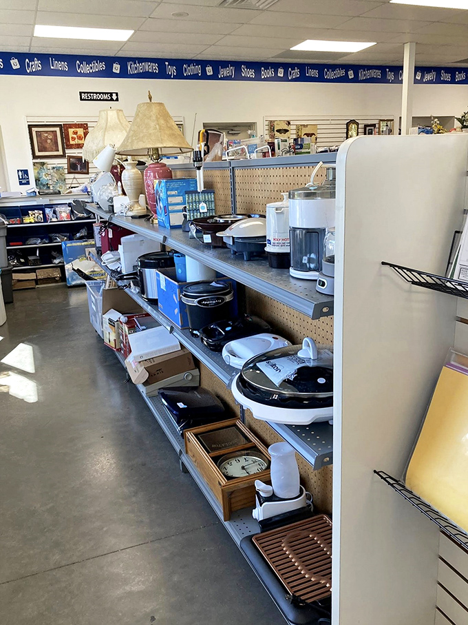 Kitchen gadget nirvana where coffee makers, slow cookers, and small appliances await their second chance at culinary greatness.