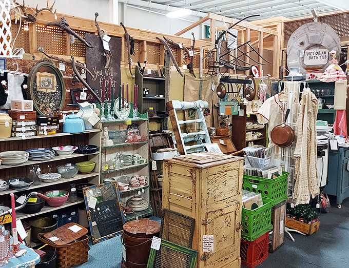 A rustic wonderland where every shelf tells a story. That copper pot? It probably cooked meals during the Truman administration.