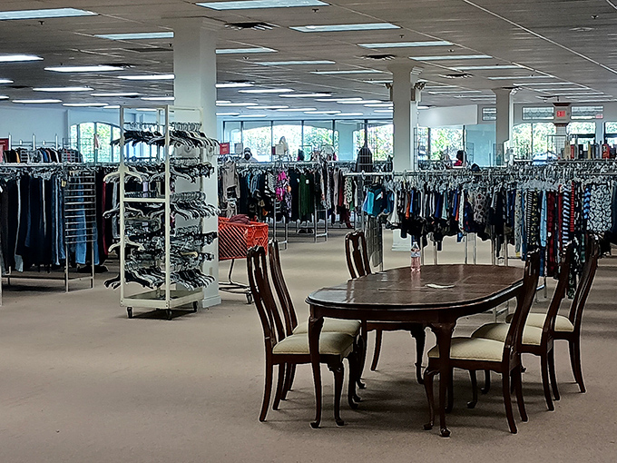 Natural light floods the shopping floor, making treasure hunting feel less like work, more like play.