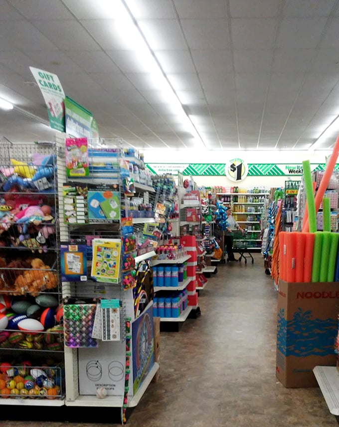 Aisles stretch toward retail infinity, promising treasures that transform "just browsing" into "how did this basket get so full?"