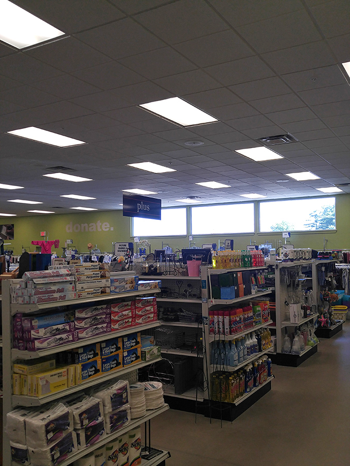 The "Plus" section beckons with household essentials and unexpected finds. That random kitchen gadget you never knew you needed? It's probably here.