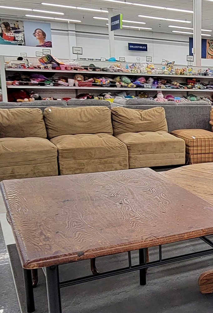 The furniture section showcases sofas that have stories to tell, while stuffed animals wait patiently for their next cuddle companion.