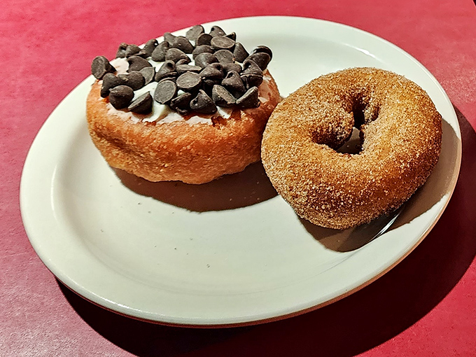Donut nirvana achieved: one chocolate chip-crowned beauty and one cinnamon-sugar masterpiece that would make Homer Simpson weep with joy.