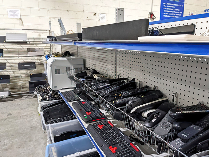 Tech heaven for the budget-conscious: keyboards, power cords, and electronic accessories await their next purpose, proving one person's obsolete is another's opportunity.