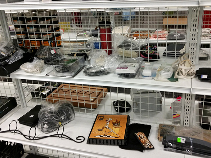 Electronics purgatory or tech paradise? These gadgets await their second act, like supporting characters hoping for a spin-off show of their own.