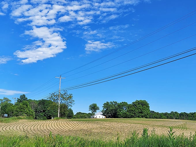 Wide-open spaces remind you that Ohio's beauty isn't limited to postcard-famous destinations at all.