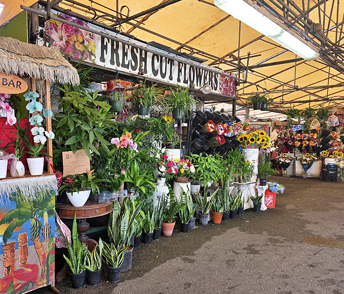 A riot of colors and fragrances greets plant enthusiasts at this floral oasis, where orchids and succulents compete for your attention and wallet.