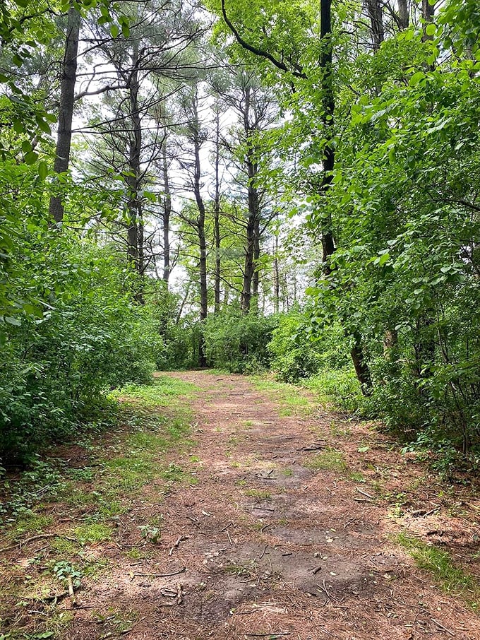 Not all who wander are lost, but this trail through Big Foot's pine-scented forest might make you want to be&mdash;at least until dinnertime.