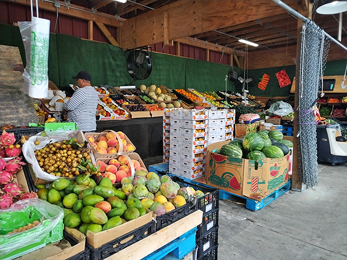 Nature's bounty spills from every crate at this produce stand, where mangoes, watermelons, and avocados create a painter's palette of edible art.