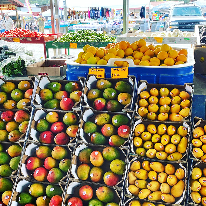 Nature's color palette on display. These mangoes and apples haven't seen the inside of a corporate refrigerator or met a wax coating.