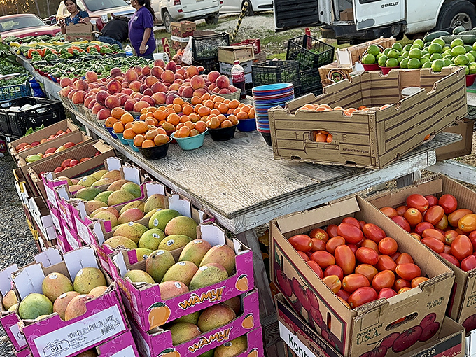 Farm-fresh produce that actually deserves the term "farm-fresh"&mdash;these peaches haven't spent more time in transit than they did on the tree.
