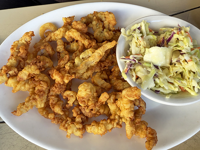 Golden-fried whole belly Ipswich clams that shatter delicately with each bite. This plate is why Bostonians brave Florida's humidity without complaint.