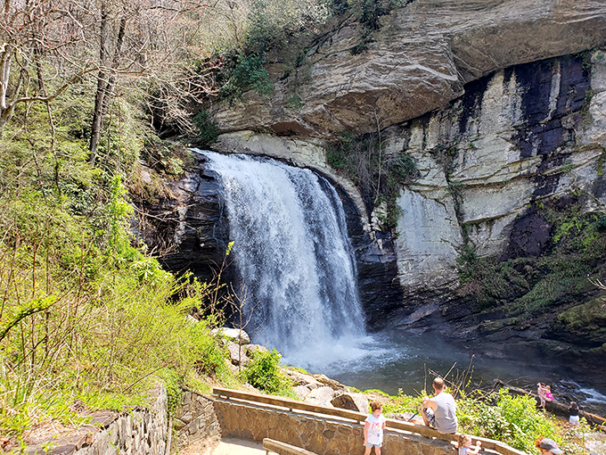 Mother Nature showing off in spring! The falls appear most dramatic after rainfall, when the water volume increases and the surrounding greenery practically glows with life.