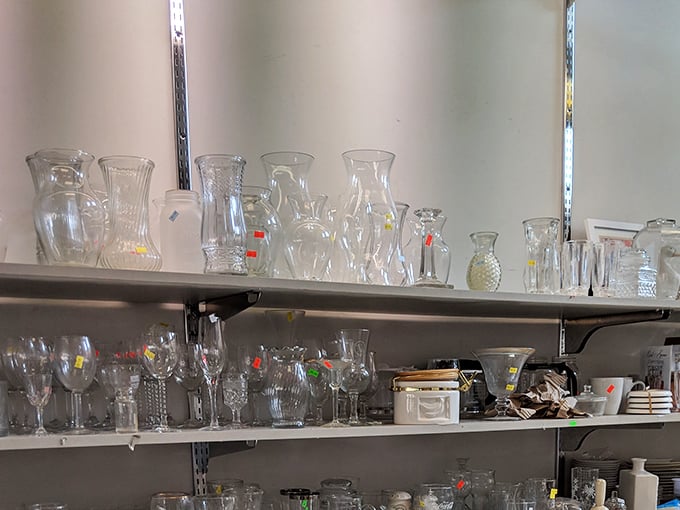 Crystal kingdoms await in the glassware aisle, where forgotten wedding gifts and grandmother's treasures find new life at prices that'll make your wallet sing.