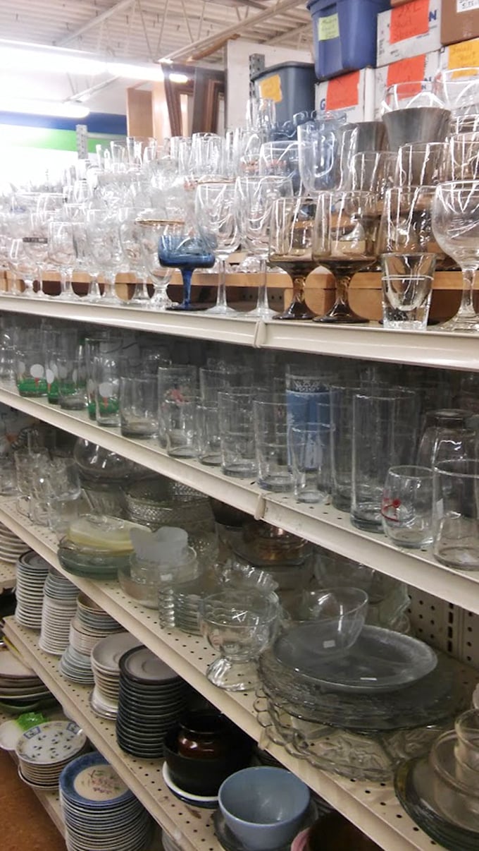 Glassware galore! From fancy wine glasses to everyday tumblers, enough options to host everything from Thanksgiving to Tuesday night pizza.