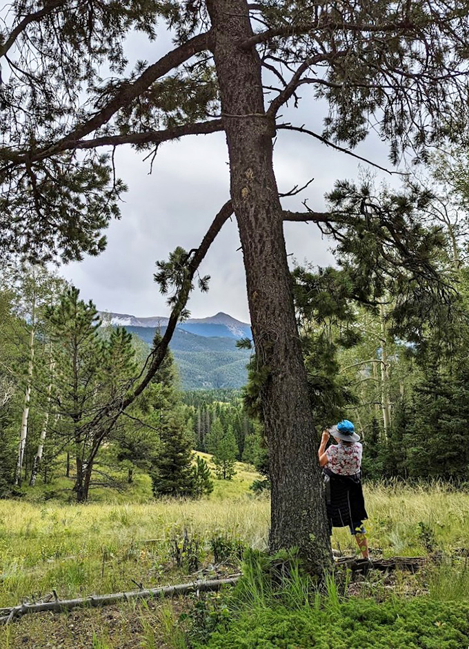 A hiker pauses to drink in the view. In moments like these, you realize why people write songs about mountain majesty.