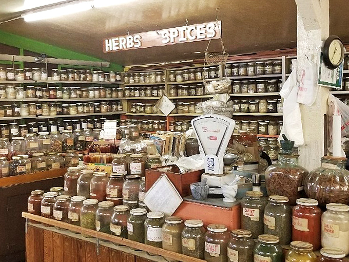 Spice world! Jars upon jars of aromatic treasures that would make even the blandest Tuesday night chicken sing with flavor.