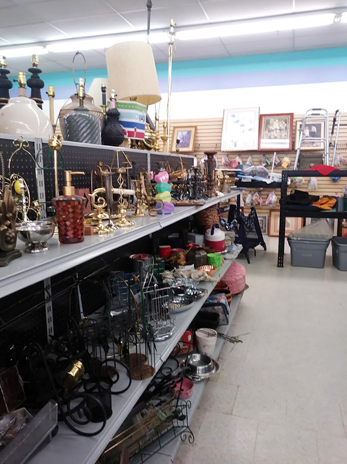 Lamps, frames, and knick-knacks galore! This aisle is where interior designers on a budget have religious experiences and where your empty shelves find their soulmates.
