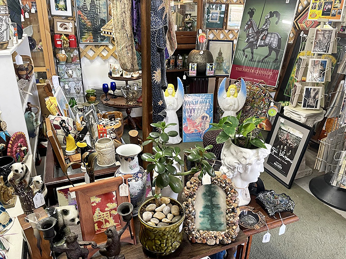 Marie Kondo would have a panic attack here, but vintage lovers will find pure joy in this beautifully chaotic corner of curated nostalgia.