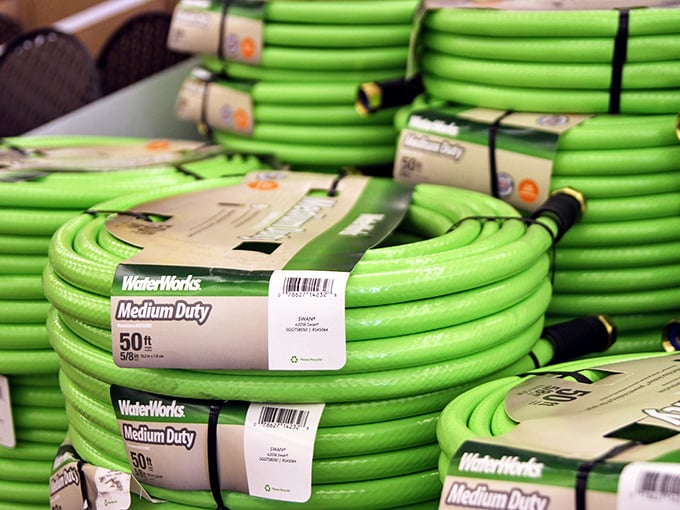 A garden enthusiast's dream! These vibrant green hoses coiled like sleeping snakes might just inspire your next landscaping adventure.