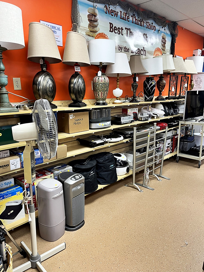 Enough lamps to light up your life, or at least your living room, without dimming your wallet.