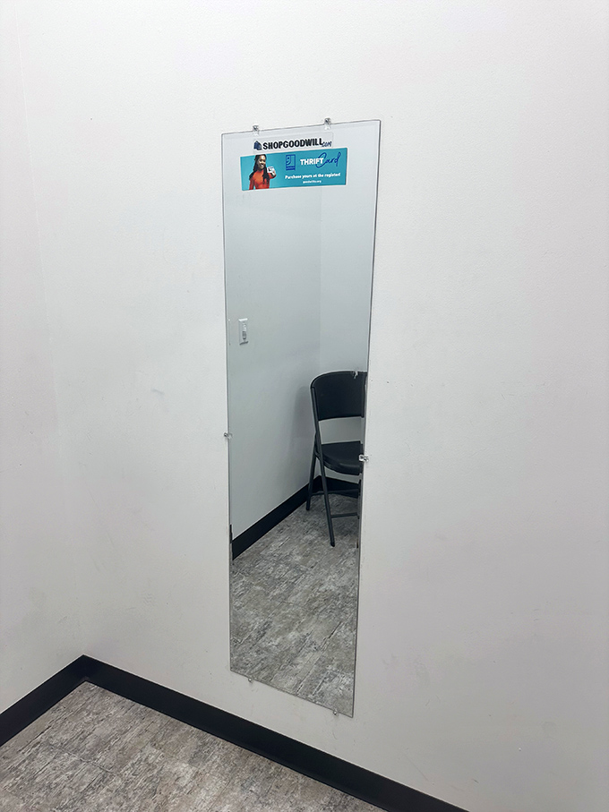 The fitting room mirror&mdash;where thrift store dreams either come true or get returned to the rack. The moment of truth awaits.