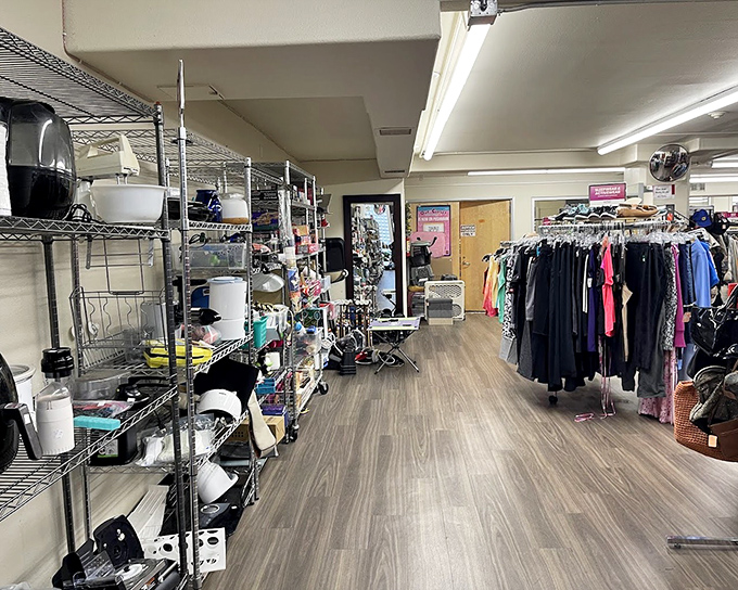 Metal shelving creates a treasure map of possibilities, with household items waiting patiently for their second act in someone's kitchen.