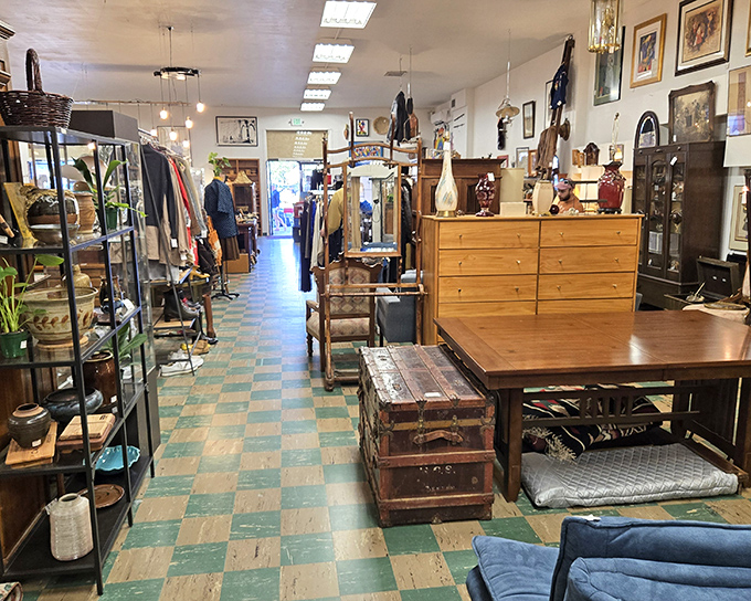 Wandering through RERUN feels like exploring your coolest relative's attic, if that relative had impeccable taste and an addiction to estate sales.