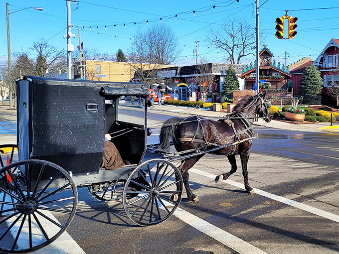 Where else but Ohio can you see an Amish buggy clip-clopping past a giant cuckoo clock? It's like two centuries having a friendly chat.