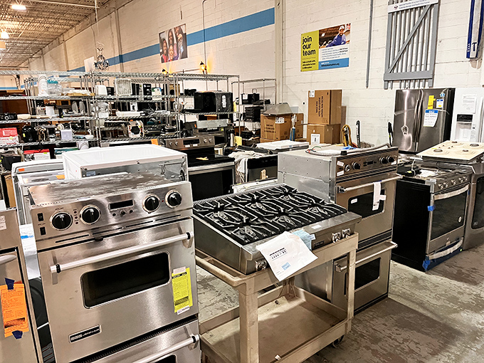 Kitchen appliance paradise! These stainless steel beauties are ready for their comeback tour in your culinary arena.