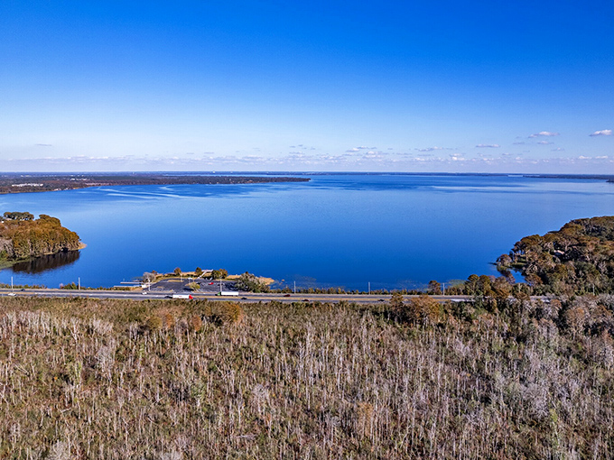 Lake Harris stretches like a sheet of blue glass, reminding visitors that Central Florida's natural wonders rival any man-made attraction.