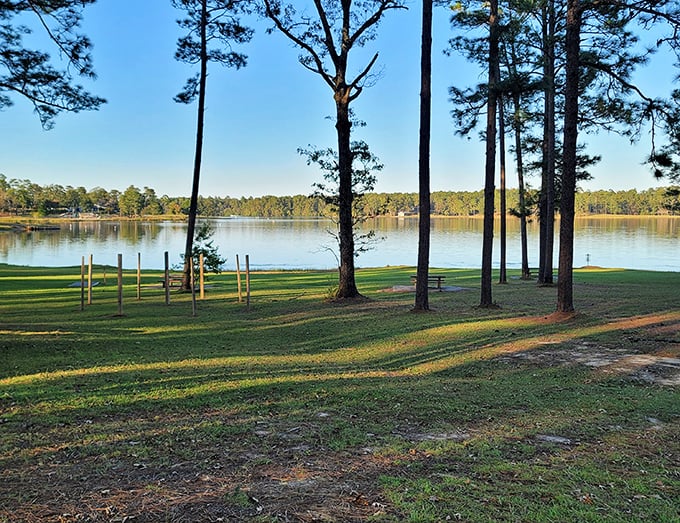 The view through these pines feels like Mother Nature's version of a cathedral window&mdash;tall, majestic, and somehow making you whisper even when nobody's around.