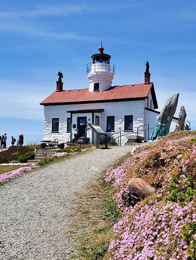 Battery Point Lighthouse stands as a steadfast guardian of the coast. When the tide's out, you can walk right up to this historic 1856 sentinel.