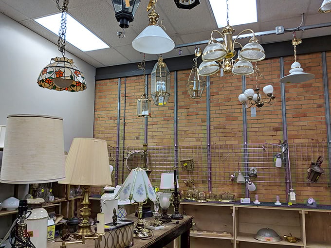 Chandeliers and lamps hang like ripe fruit, waiting to be plucked by savvy shoppers who know good lighting makes all the difference.