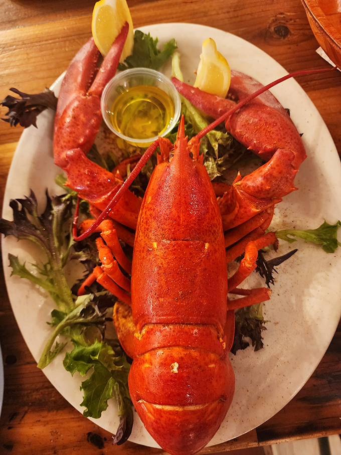 This lobster isn't just dinner, it's a crimson celebrity on a plate, waiting for its butter bath and your inevitable Instagram post.