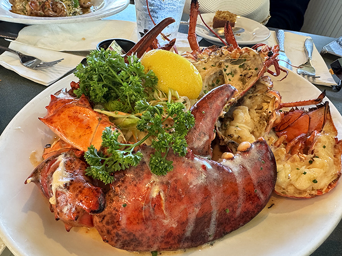 This isn't just a lobster&mdash;it's a crimson titan of the sea, presented with the reverence it deserves. Butter bibs are not optional.