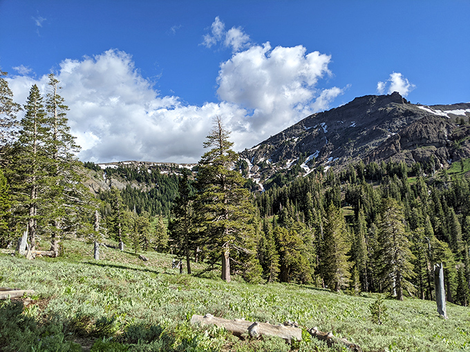 Summer reveals Kirkwood's other personality—verdant meadows and granite peaks replacing snow scenes in nature's seasonal costume change.