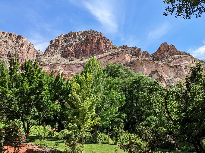 Where desert meets paradise. The contrast between red rock cliffs and lush greenery creates nature's perfect color palette.