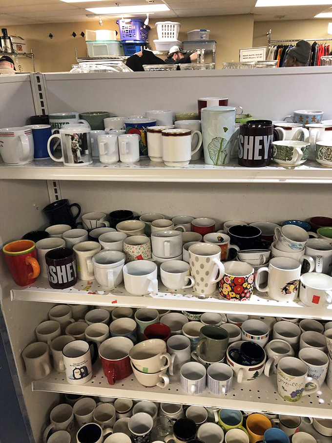 A ceramic symphony of mugs stands at attention, each with its own personality and history, waiting for a second chance at morning coffee duty.